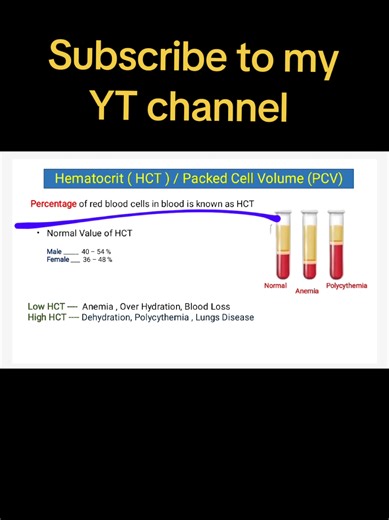 Understanding Hematocrit Levels and HCT Tests