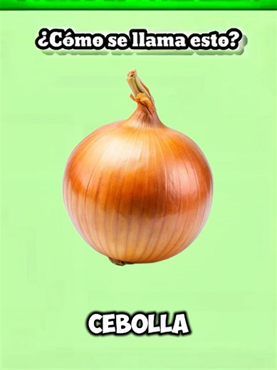 Spanish Vocabulary Test Challenge