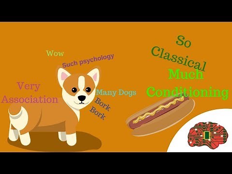 Teaching An Old Dog New Tricks- Classical Conditioning and Associative Learning