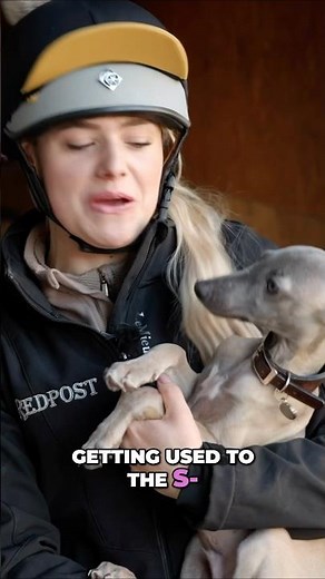 My dog the influencer