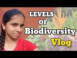 Levels of Biodiversity Explained | Genetic, Species & Ecosystem Diversity