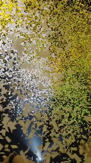 The Offspring: Alien Romulus Highlights and Scenes