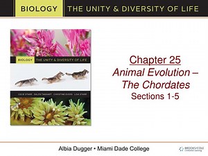 Chapter 25 Animal Evolution – The Chordates Sections 1-5 - SlideServe