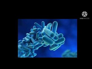 What Are The Effects Of Land Pollution? | Land Pollution Effects