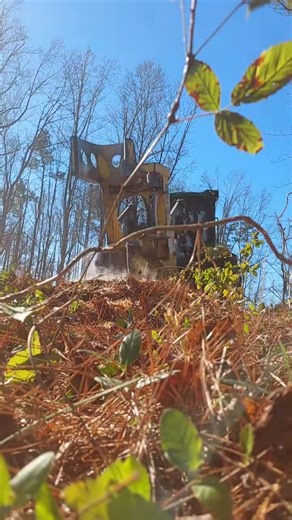 14 reactions | Logger work with Tigercat equipment 漢量 . .​ .​ #woodwork #trees #cafe #history #riverlandlogging #logging #tigercat720 #operadoresdemaquinas #loggingindustry #JohnDeere #forest #harvest #satisfaction #beautysalon #logginghistory #ThrowbackThursday #pacificnorthwest #lumberjack #vintagephotography | Jazlyn Smith | Facebook