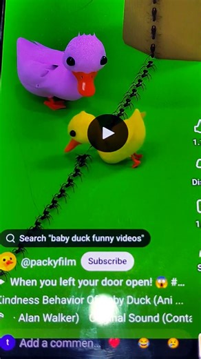 Kindness Behavior of baby duck (Animation Memes) #animation #shorts #memes