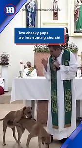 There's no place for this in a church! 🫢 | Daily Mail Video