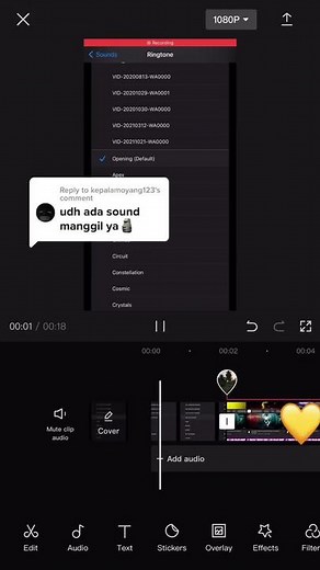Reply to @kepalamoyang123 sound 🔊