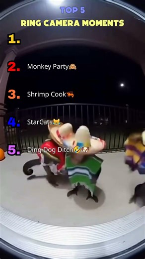 IS IT REAL OR AI❓🤖 COMMENT BELOW👇