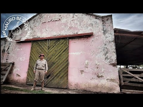 INCREDIBLE Stay in a PARADISE Place/ ENTRE RIOS