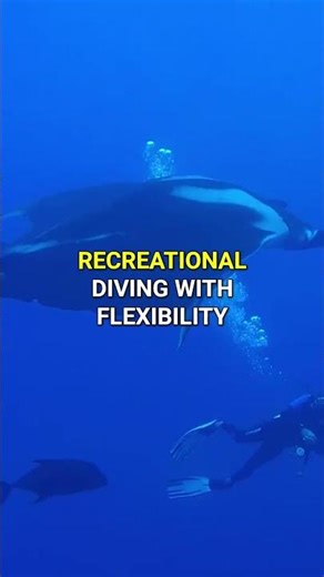 PADI: The Quickest Way To Start Your Scuba Diving Adventure #shorts