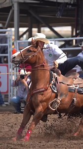 36K views · 2.4K reactions | We are excited to announce the four...