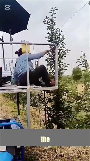 “Unbelievable Tricycle Modification! 🚲✨ Fruit Wrapping Made SUPER Easy!” #techexplained #wrapping