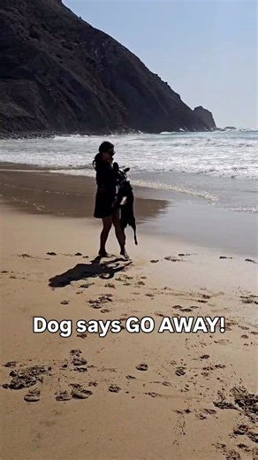 17K views · 219 reactions | Dogs that are well balanced and...