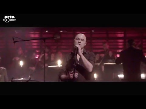 Dominique A Concert Radio France Live