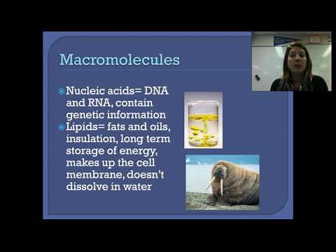 Biology 2016 Final Exam Review