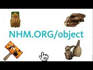 Objects of Affection