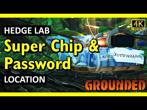 Find the Hedge Lab Password and Super Chip | Grounded (2025)