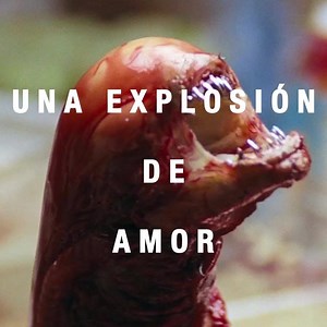 52K views · 2.4K reactions | Un amor que no puede contenerse. | Alien Películas | Facebook