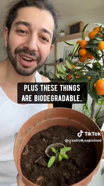 DIY Bio-degradable Pots for Your Plants