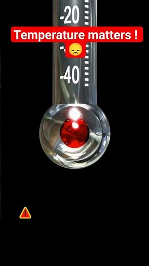 Your house temperature can kill guinea pigs