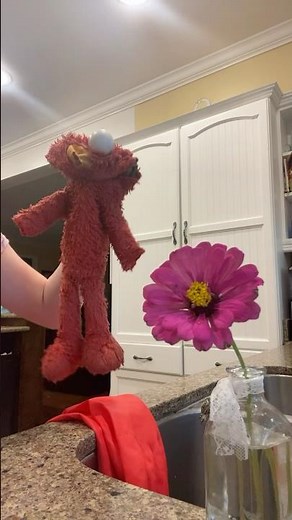 elmo world the flowers channel