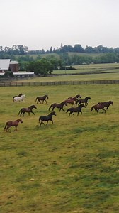 626 reactions · 114 shares | Saddle up! October is Maryland Horse Month!  For the perfect autumn getaway, take a road trip along the Horses & Hounds Scenic Byway. Surround yourself with stunning fall foliage and charming farm country. Attend equestrian events, explore hiking trails, and enjoy wineries, breweries, fine dining, and more: https://bit.ly/48RfYUV #MDinFocus | Maryland | Facebook