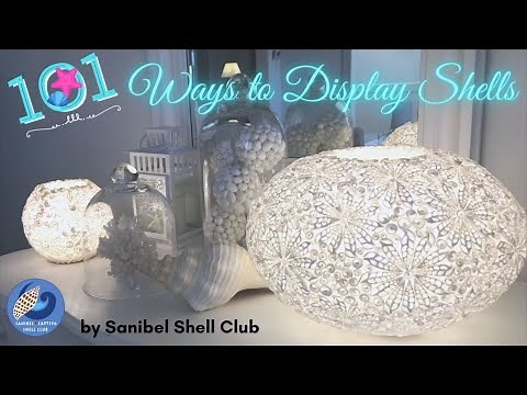 101 Ways to Display Shells