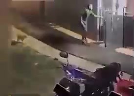 18K views · 130 reactions | Wizard transformation caught on camera  Even the cat is amazed  | Nation Entertainment | Facebook