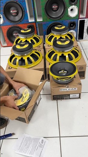 The best midrange, drivers and tweeters for this project 🔉🔥