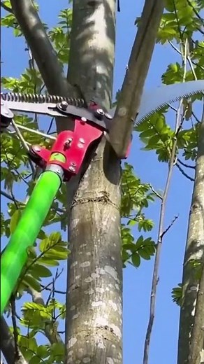 Amazing Long Reach Pole Pruner in Action! | How to Trim High Tree Branches Safely