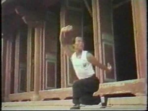 Northern Praying Mantis KungFu Methods