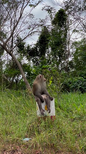 17K views · 147 reactions | Ls11 Cambodia Gaming Room on Reels | Facebook