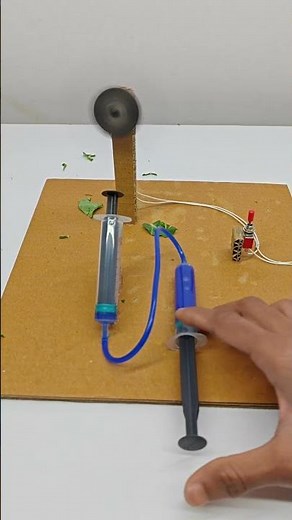 Science Project Ideas For Class 10 Working Model #shorts