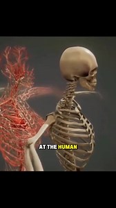 Nature doesn’t draw straight lines. It repeats patterns. From atoms to trees, the universe prefers efficiency, not perfection. What we call “complexity” is often simple rules, repeated across scales. #Fractals #ScienceExplained #CosmicPatterns #Physics #NatureMath #Emergence #NeilDeGrasseTyson #BrianCox #Universe #ScientificThinking #EthicalExploration Part 5 | Ethical Explorations