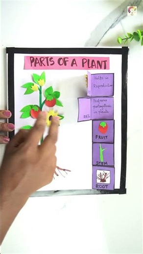 DIY 3D PARTS OF A PLANT MODEL 🪴 | EASY SCIENCE EXHIBITION PROJECT | PARTS OF PLANTS WORKING MODEL