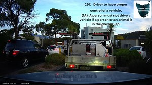 38K views · 65 reactions | How much is the doggie in the window? Well if they get caught. Up to 10 penalty units. In Tasmanian a penalty unit is currently $195.00 | Dashcams Tasmania | Facebook