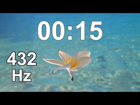 15 Second Timer - Countdown - Clock Timer