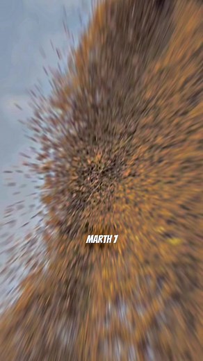 Tractor Operations and Agricultural Machinery Showcase