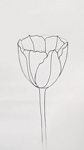 396K views · 6.3K reactions | Doodle Art #Flower #Art #Draw #Shorts #Reels #HowToDraw #VisualArt #ForYouPage #Tranding #PencilSketch #Artist | Tahmina Art Gallery | Facebook