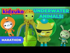 ​‪@Octonauts‬ - Underwater Animals! | 30 Mins+ Full Episodes Marathon | ‪@Kidzuko‬​