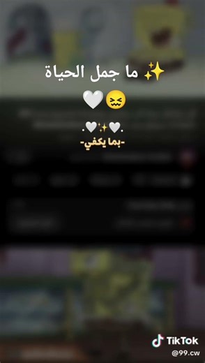 ٢٧ يناير ٢٠٢٦