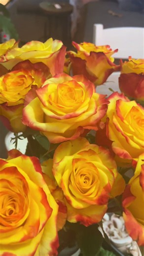 Come have Vietnamese Hot Pot Dinner with us ! #vietnamesehotpot #dinnerAtOurHouse #Hotpot #antique