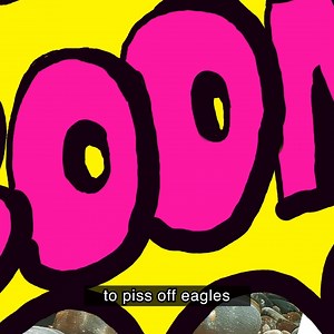 144 reactions | StickerApps custom stickers make it easy to piss off eagles and make your own stickers and labels, in many eye catching materials. | StickerApp | Facebook