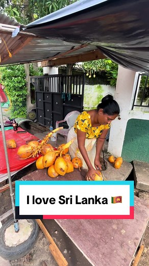 Exploring Sri Lanka: A Traveler's Guide