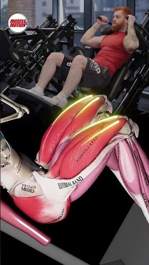 The Hack Squat and Why We Love It!🔥