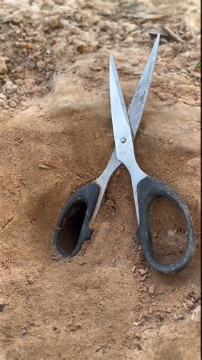 24.DIY new snake trap using Scissors #creativesnaketrap #buildsnaketrap #snaketrap #fbreels #viral #fypシ #fyp #love #foryou #trending | Anthony Patterson