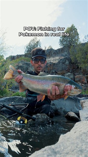 Tyson Chavis on Instagram: "Pokémon No. 1026: HAWGmon 🐖 Type: Water – LNGTH: 21" – WT: 3.5 lbs This mature rainbow trout Pokémon is said to establish territory in deep runs and rocky structure, where it waits patiently for prey to drift within range. When hooked, it can unleash sudden bursts of speed and violent head shakes, often breaking the resolve of inexperienced trainers. It is known to favor crawfish patterns, stonefly nymphs, and small Bug type Pokémon that fall into the water. #flyfish