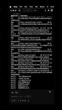 Gobuster | Part 1#cybersecurity #gobuster #penetrationtesters #pentesting #webapp