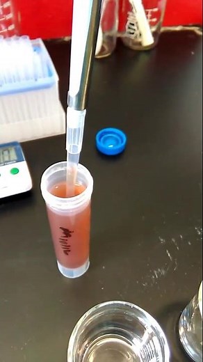 Phenol analysis using Folin Ciocalteu reagent(5)